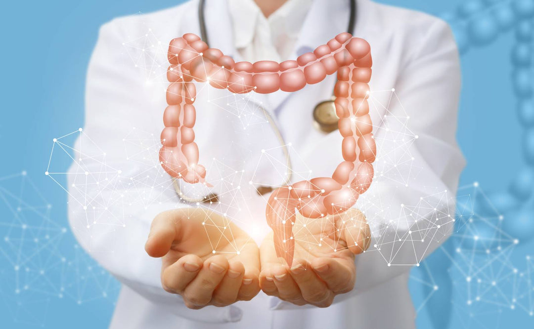 Colonoscopy Plan - HK Medical Concierge – Medical Concierge Limited